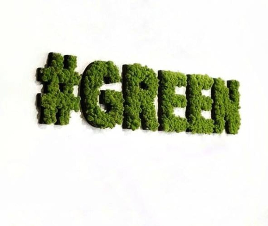 Moss Company Logo Moss Wall Art Real Moss Custom Logo Sign - Etsy