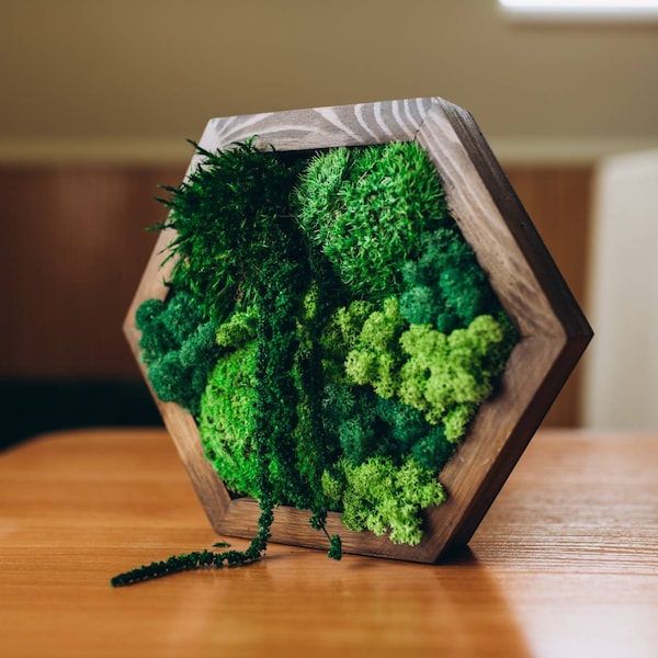 Hexagon Wall Art - Etsy