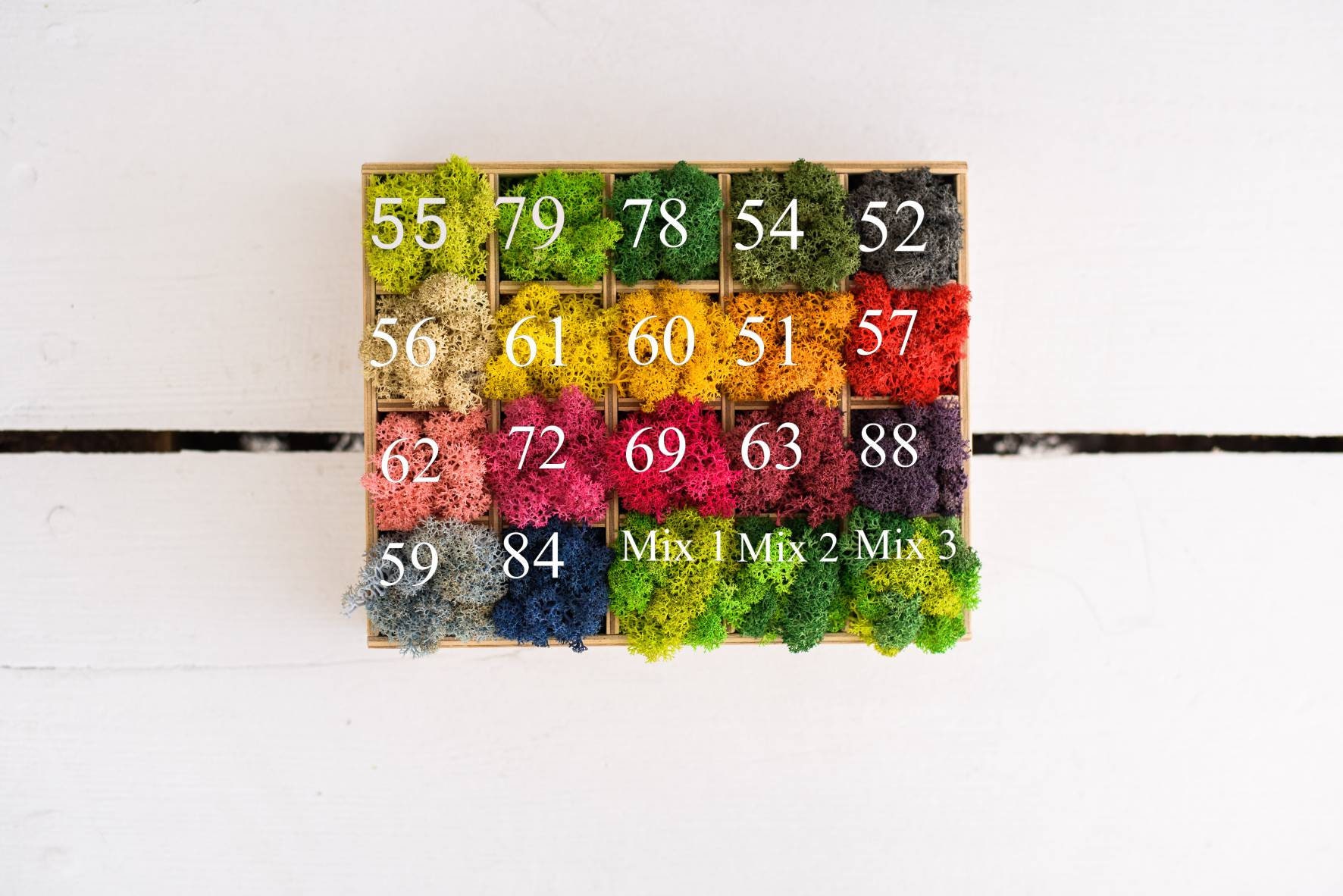 Moss world map Preserved moss wall Moss wall art | Etsy