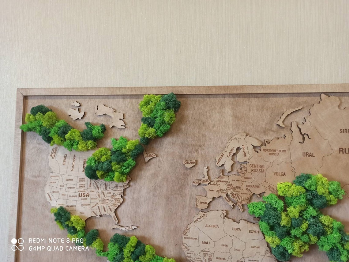 Moss world map Preserved moss wall Moss wall art | Etsy