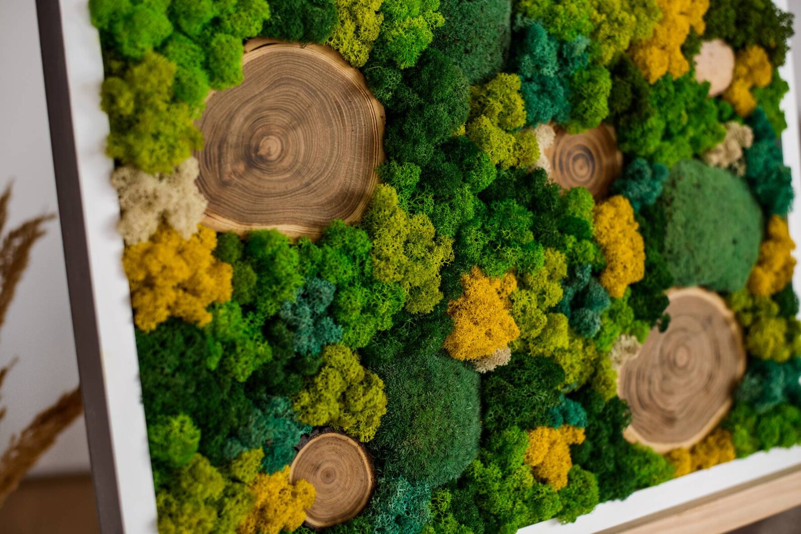 Moos Kunst gerahmt Moos Wandkunst Konserviertes Moos Kunst - Etsy.de