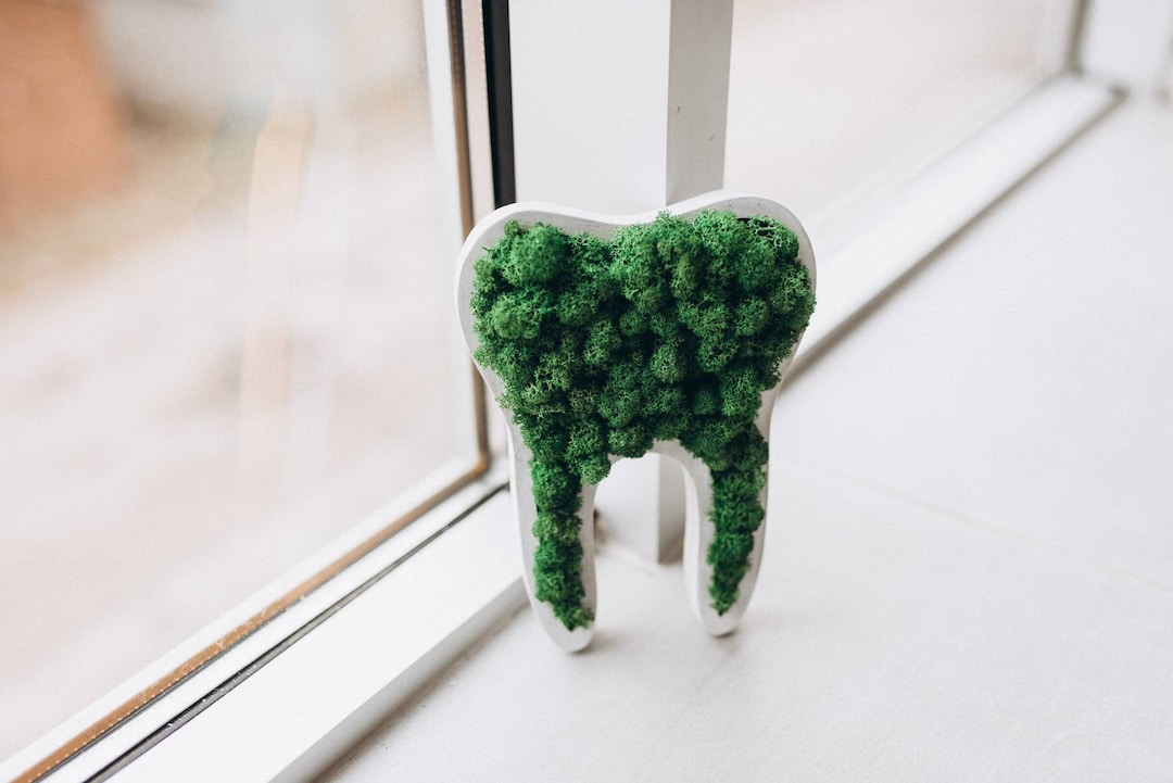 Moss Tooth Decor: Dentist Office Art, Preserved Moss - Etsy UK