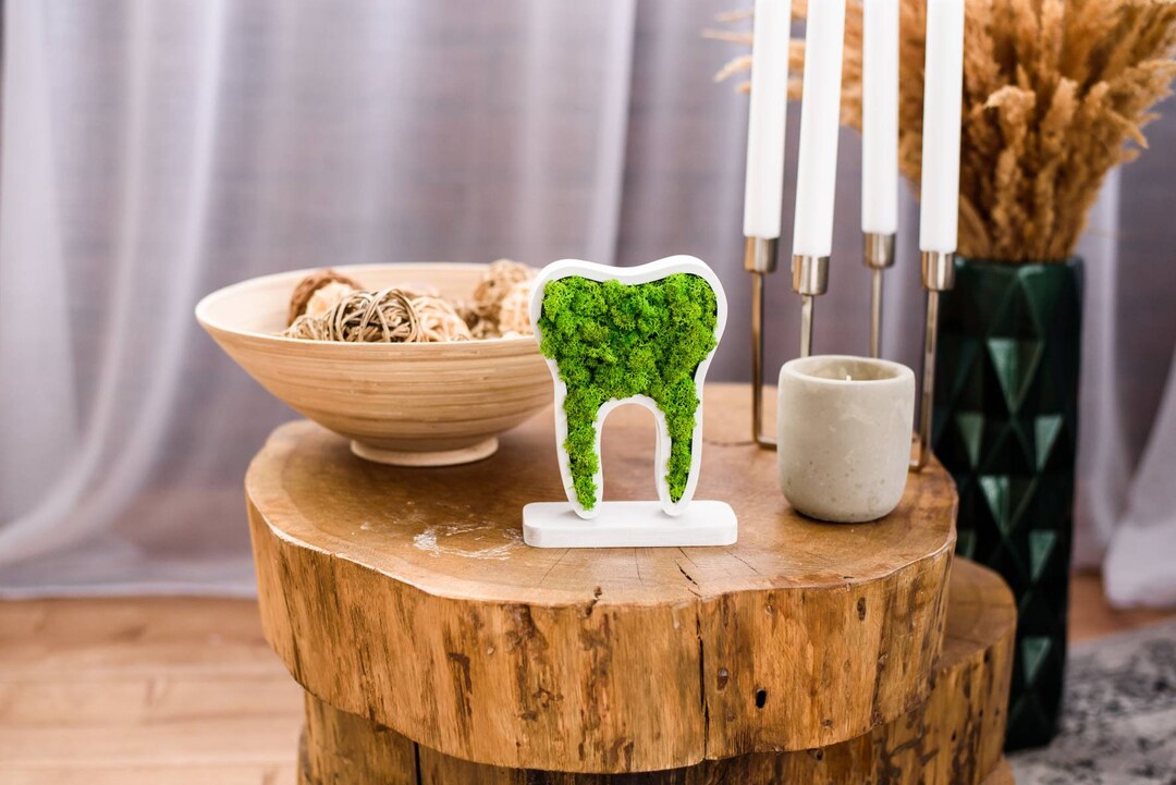 Moss Tooth Decor: Dentist Office Sign, Dental Clinic Decoration - Etsy