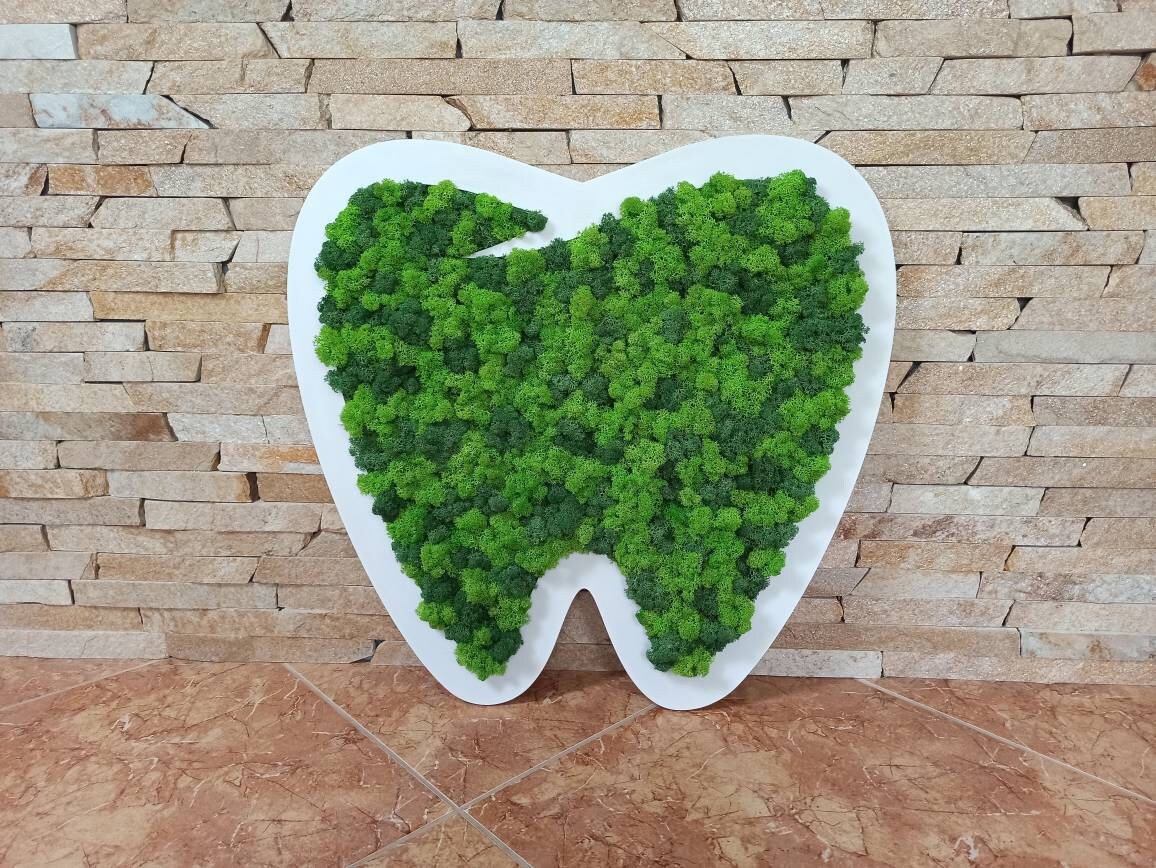 Tooth Wall Art Cute Teeth Moss Tooth Dental Office Decor - Etsy