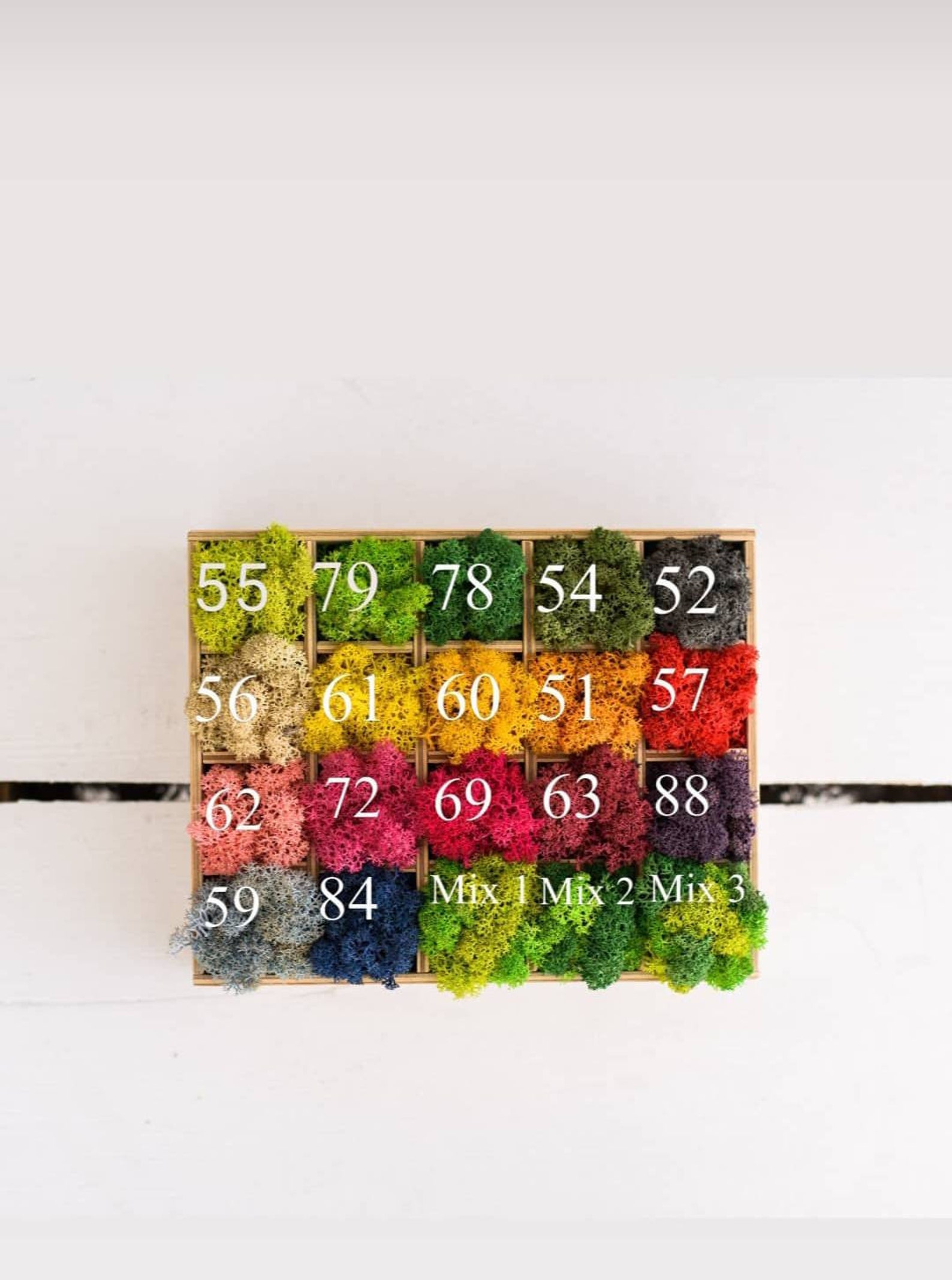 Moss World Map Wooden Wall Map Moss Wall Art Preserved Moss | Etsy