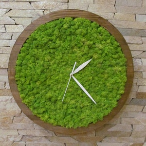 Moss Clock, Wooden Eco Clock With Preserved Moss, Wall Clock, Modern ...