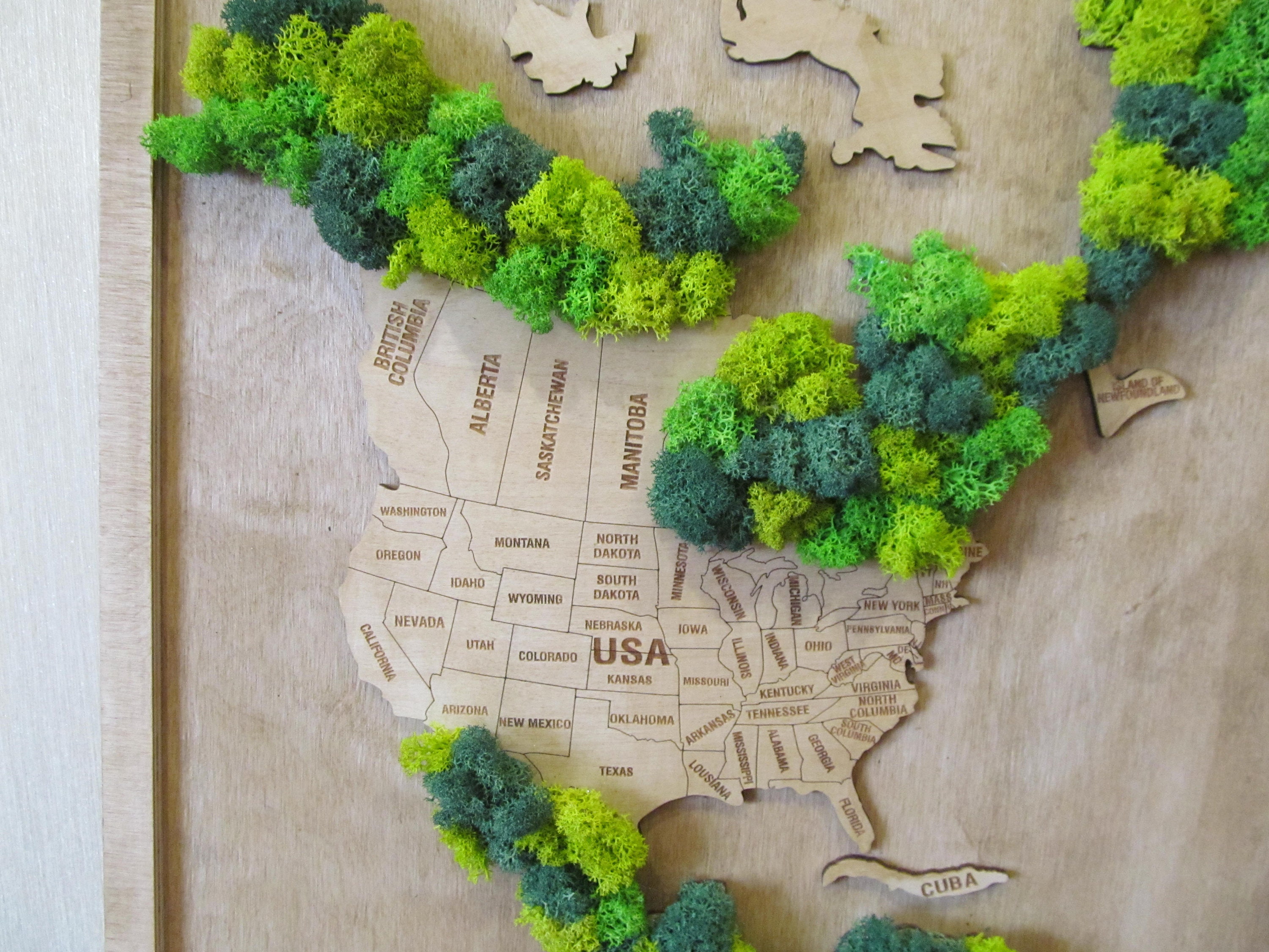 Preserved Moss World Map: Wooden Wall Art, Office Decor (24" X 32 ...