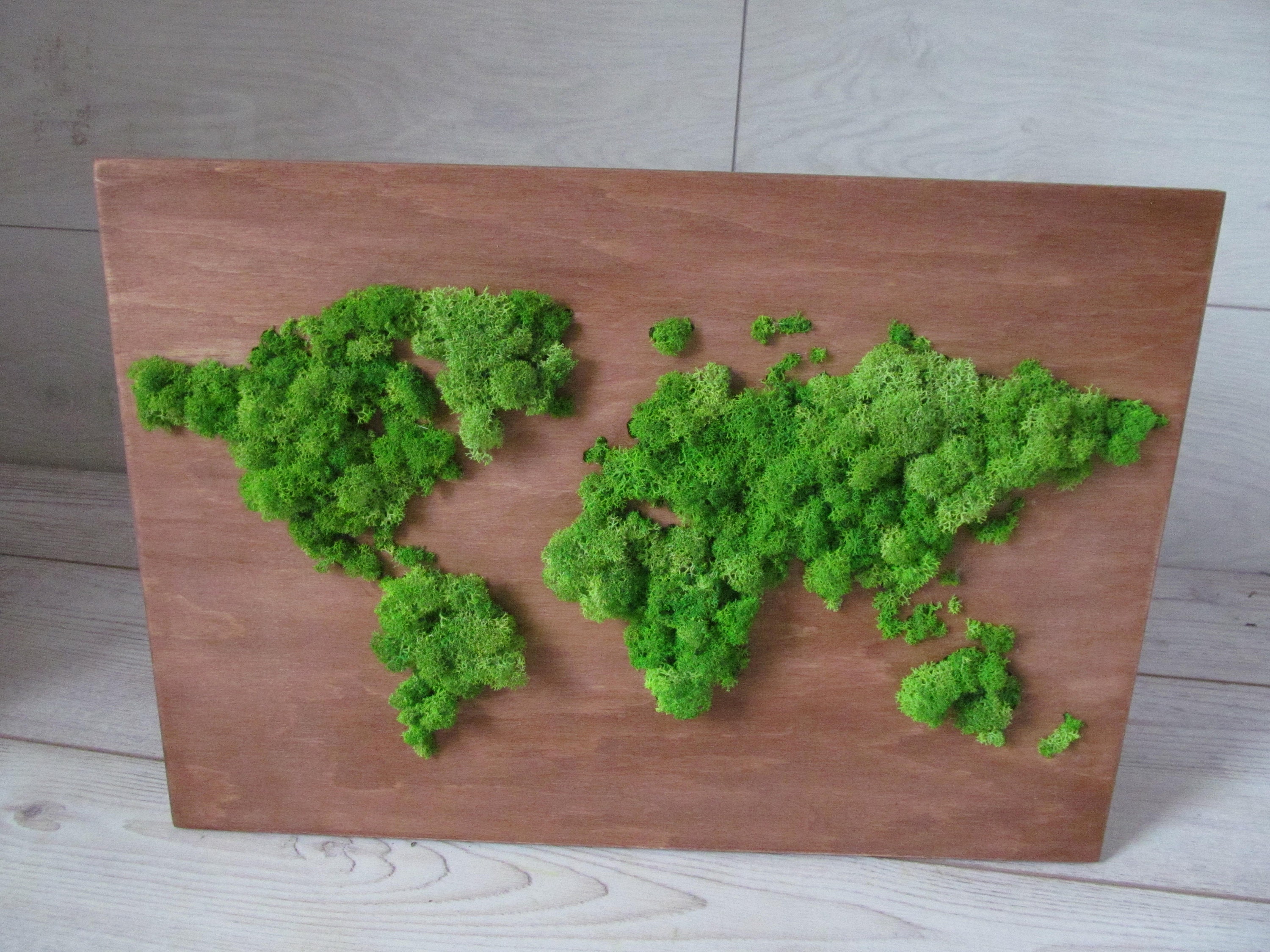 Moss World Map Wooden Wall Map World Map Office Wall Decor - Etsy