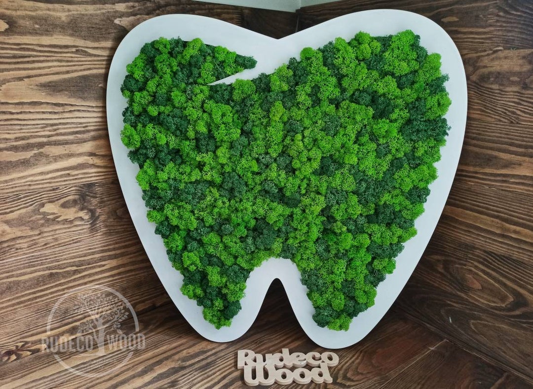 Tooth Wall Art Cute Teeth Moss Tooth Dental Office Decor Dentist Office ...