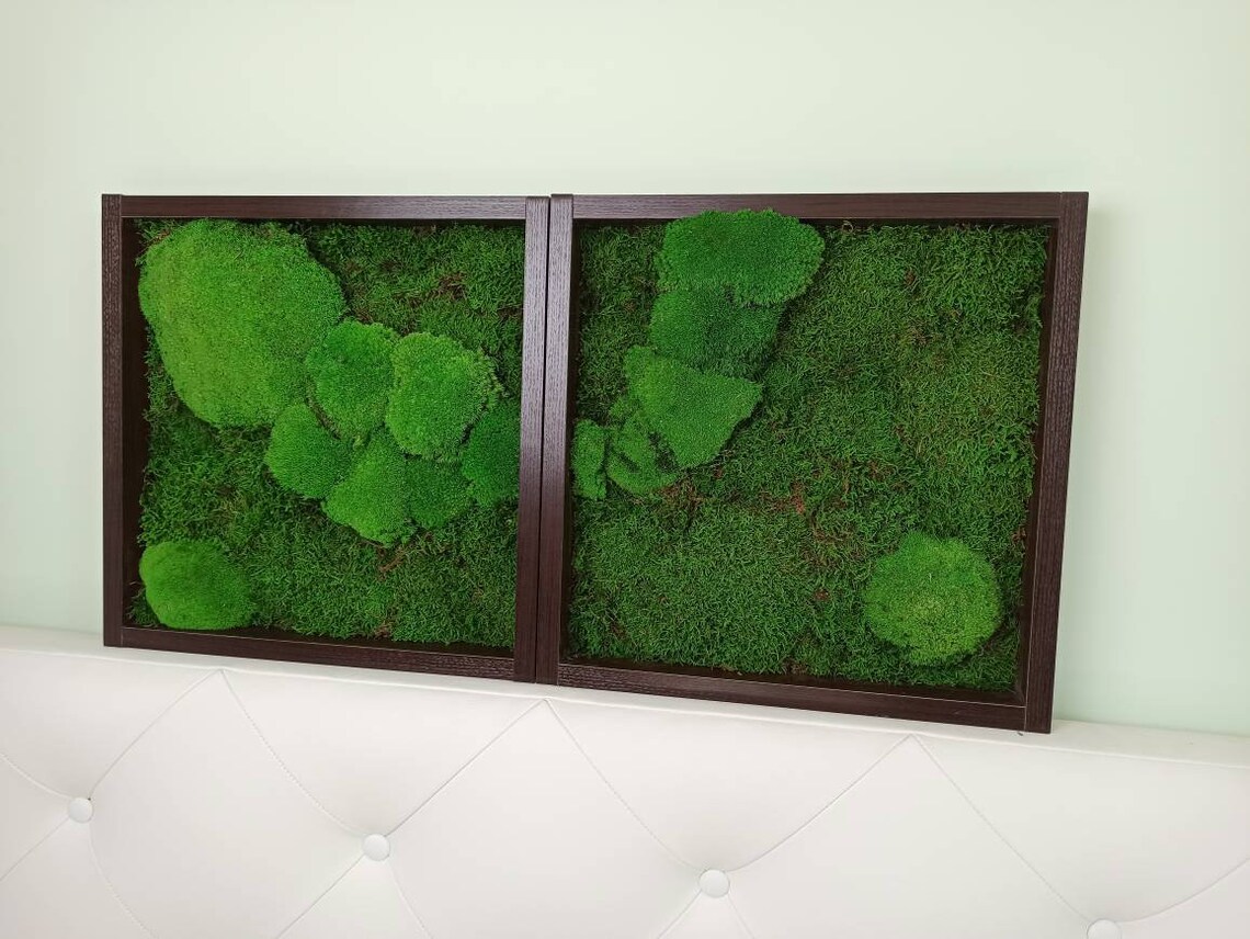 Moss Wall Art Preserved Moss Living Wall Moss Frame Live - Etsy