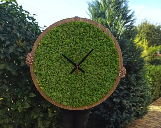 Moss Clock, Wooden Eco Clock With Preserved Moss, Wall Clock, Modern ...