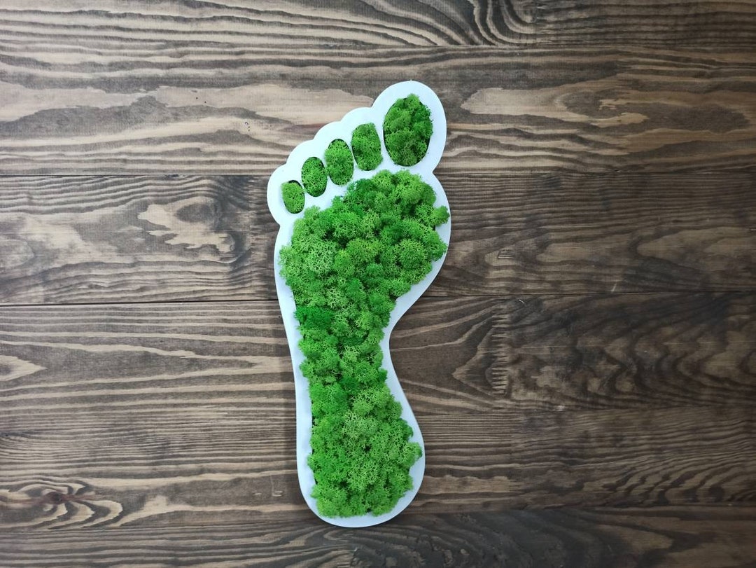 Moss Foot Sign: Podiatry Office Decor, Foot Anatomy Art - Etsy
