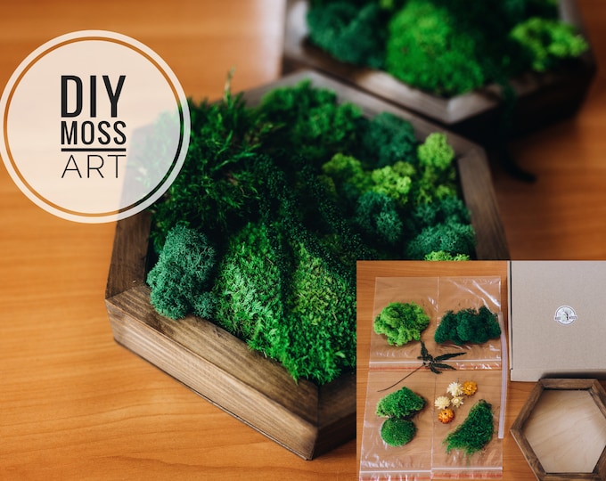 Diy Moss Art Kit, Diy Crafts With Preserved Moss, Diy Moss Wall Art ...