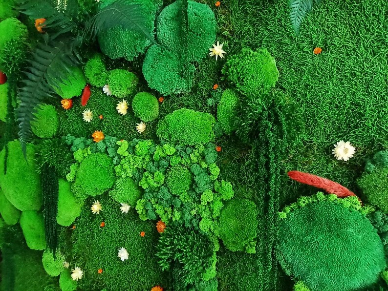 Moss Wall Art Large Indoor Wall Decor Moss Wall Hanging - Etsy