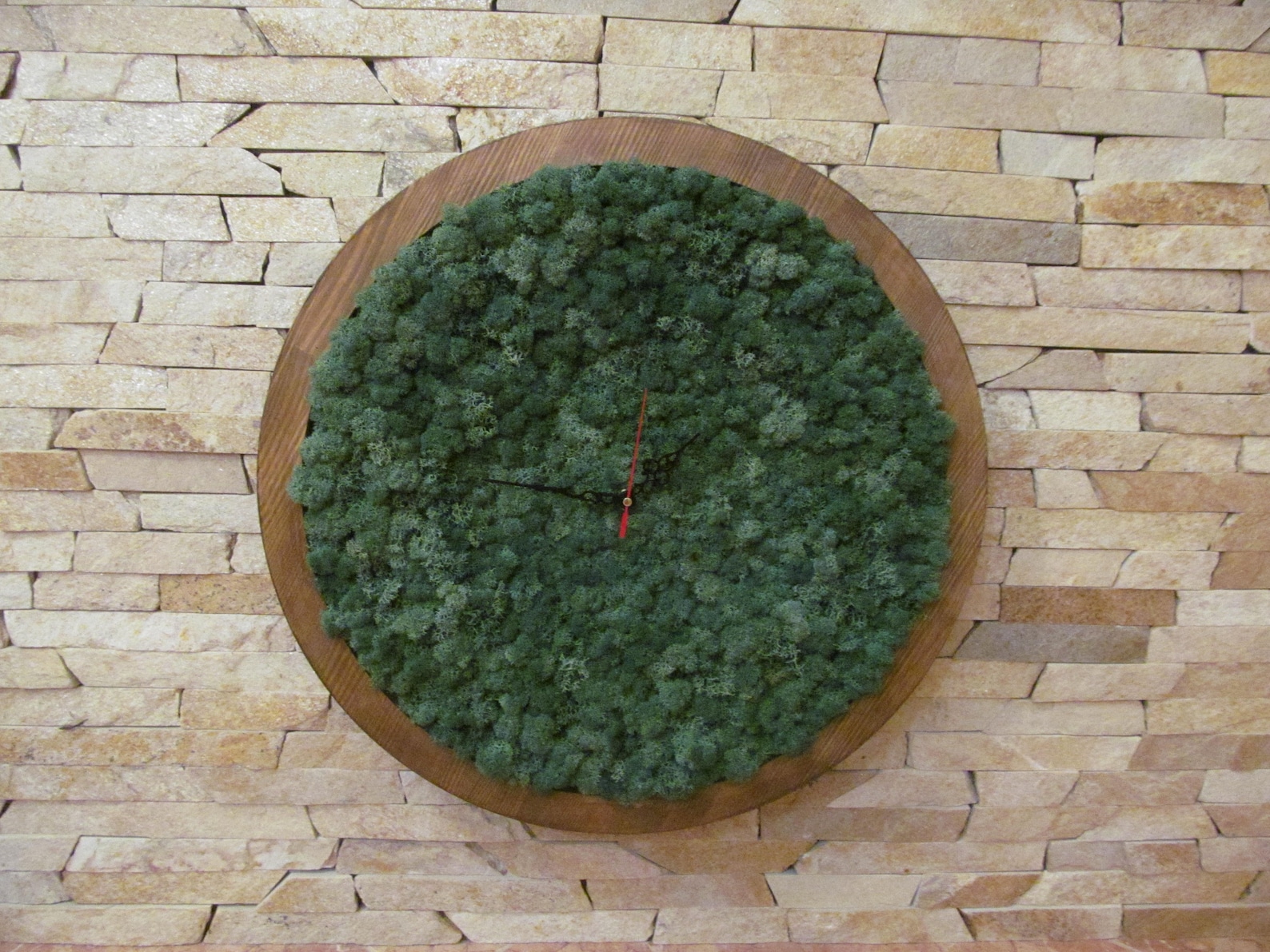 Moss Clock Wooden Eco Clock With Preserved Moss Wall Clock | Etsy