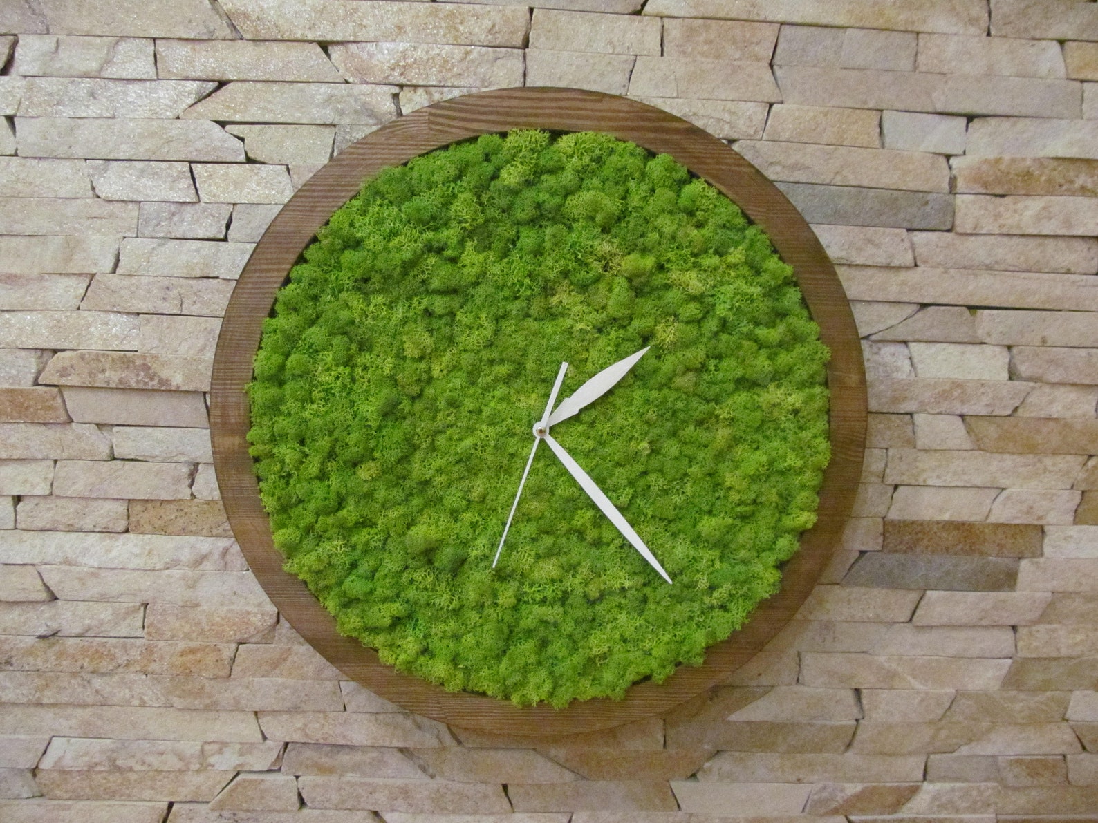 Moss Clock Wooden Eco Clock With Preserved Moss Wall Clock | Etsy