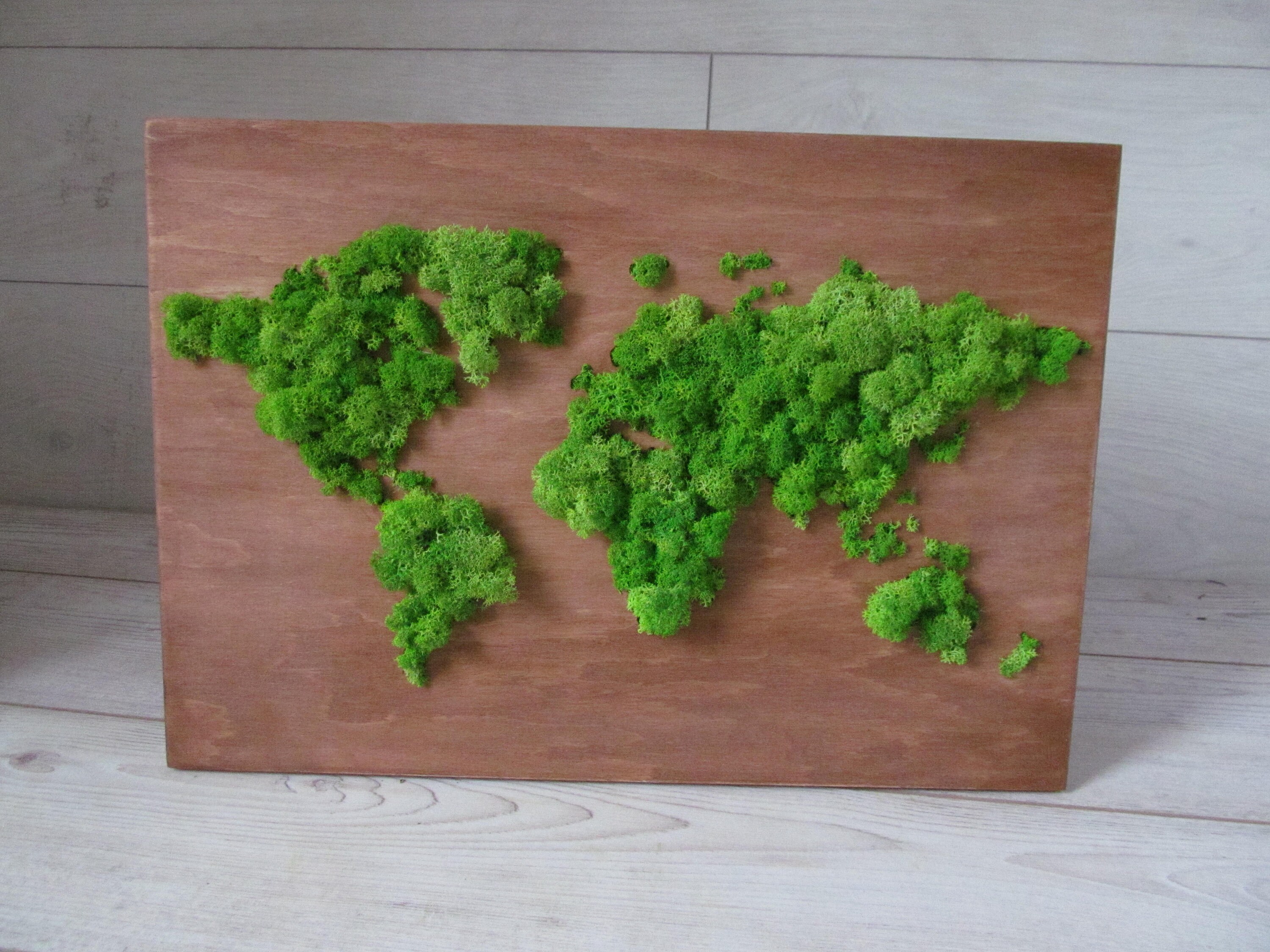 Moss World Map Wooden Wall Map World Map Office Wall Decor - Etsy