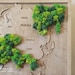 Moss World Map Preserved Moss Wall Moss Wall Art - Etsy