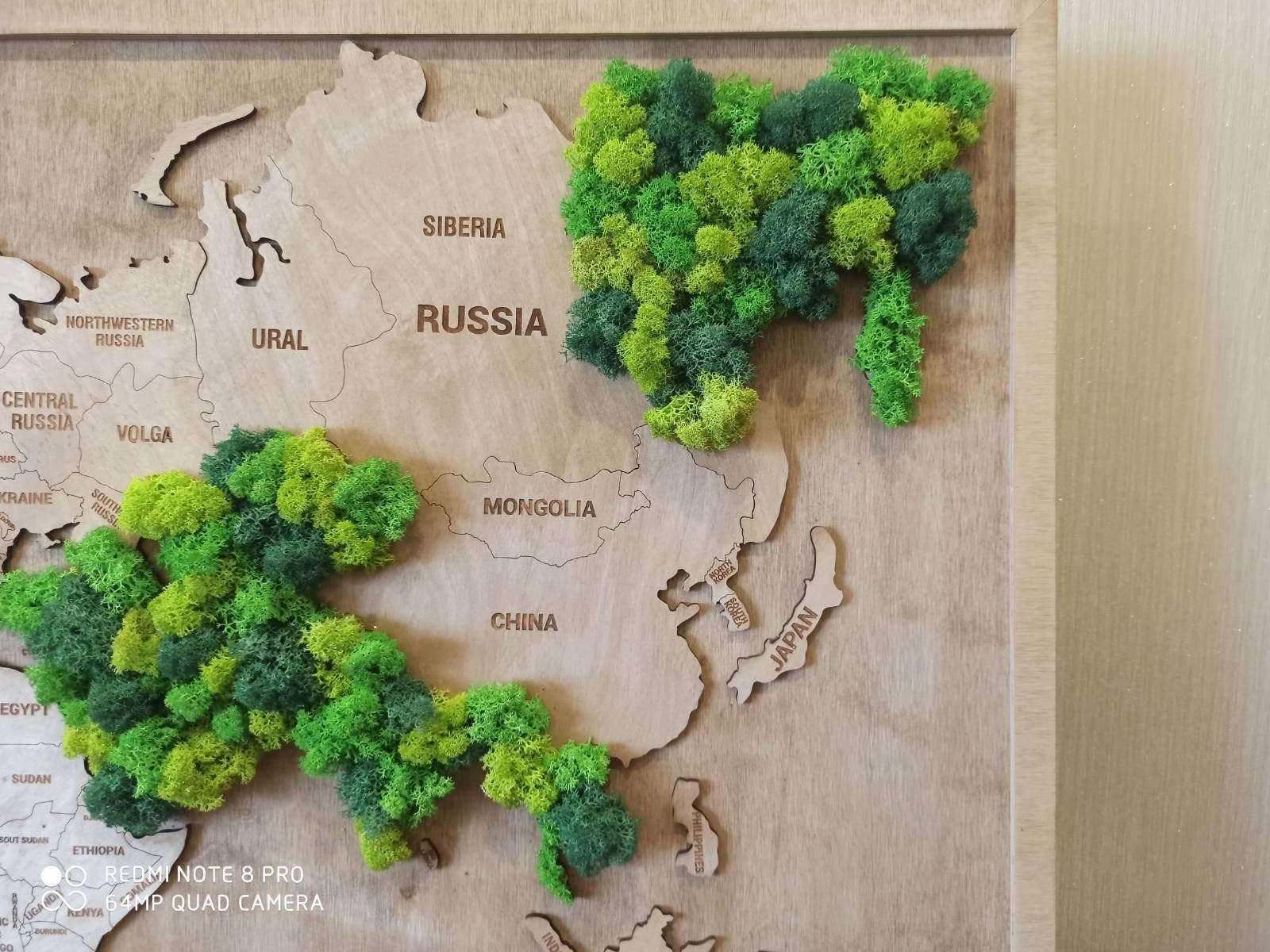 Moss World Map Preserved Moss Wall Moss Wall Art - Etsy