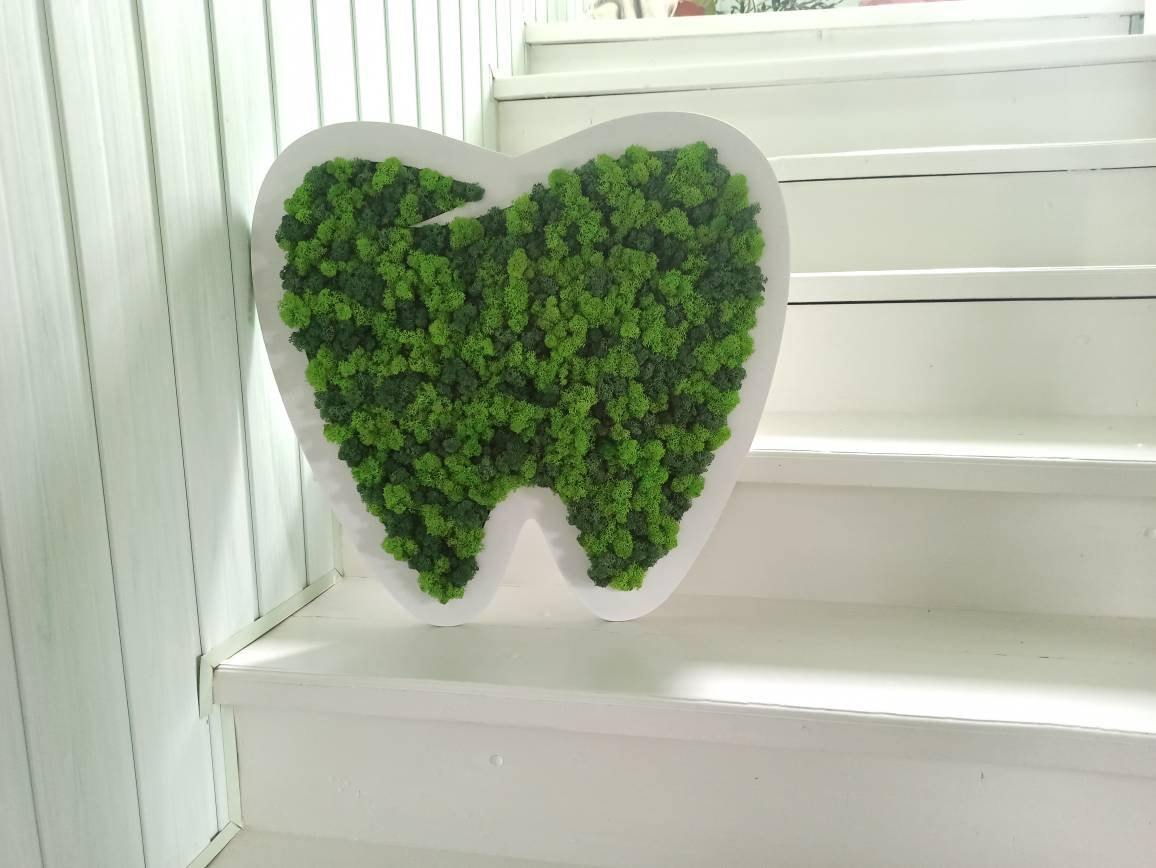 Tooth Wall Art Cute Teeth Moss Tooth Dental Office Decor - Etsy