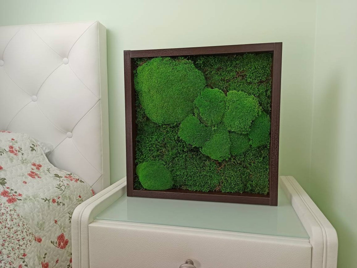 Moss Wall Art Preserved Moss Living Wall Moss Frame Live - Etsy