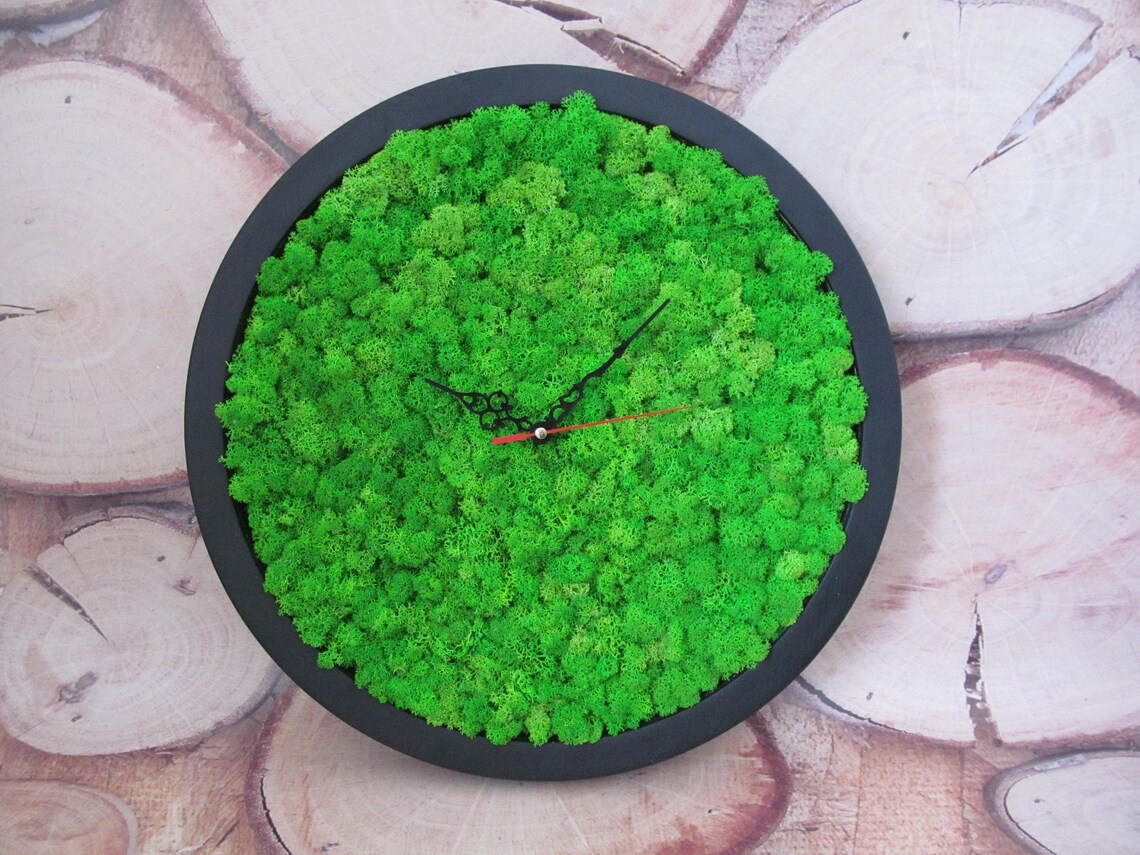 Moss Clock Wooden Eco Clock With Preserved Moss Wall Clock | Etsy