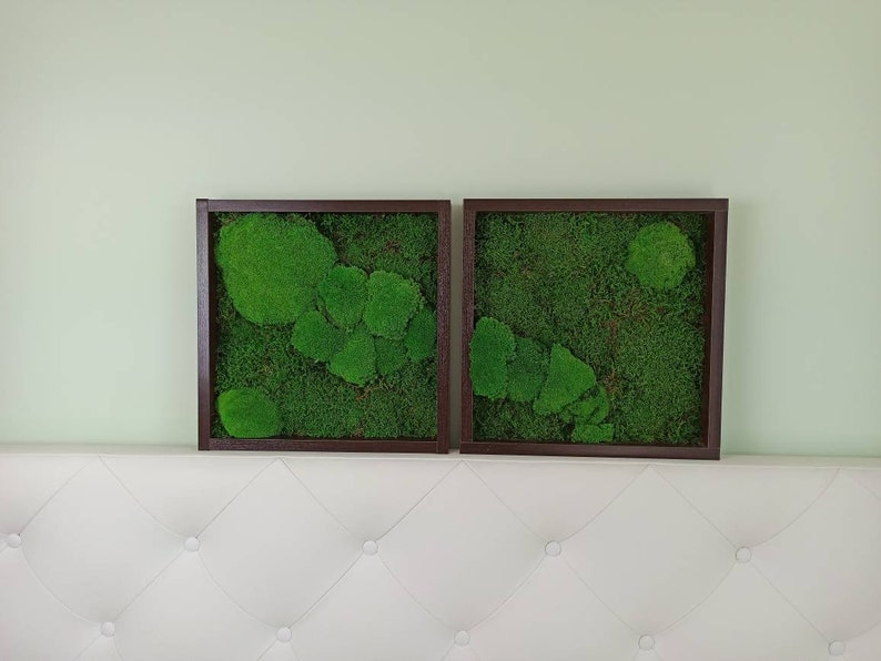 Moss Wall Art Preserved Moss Living Wall Moss Frame Live - Etsy