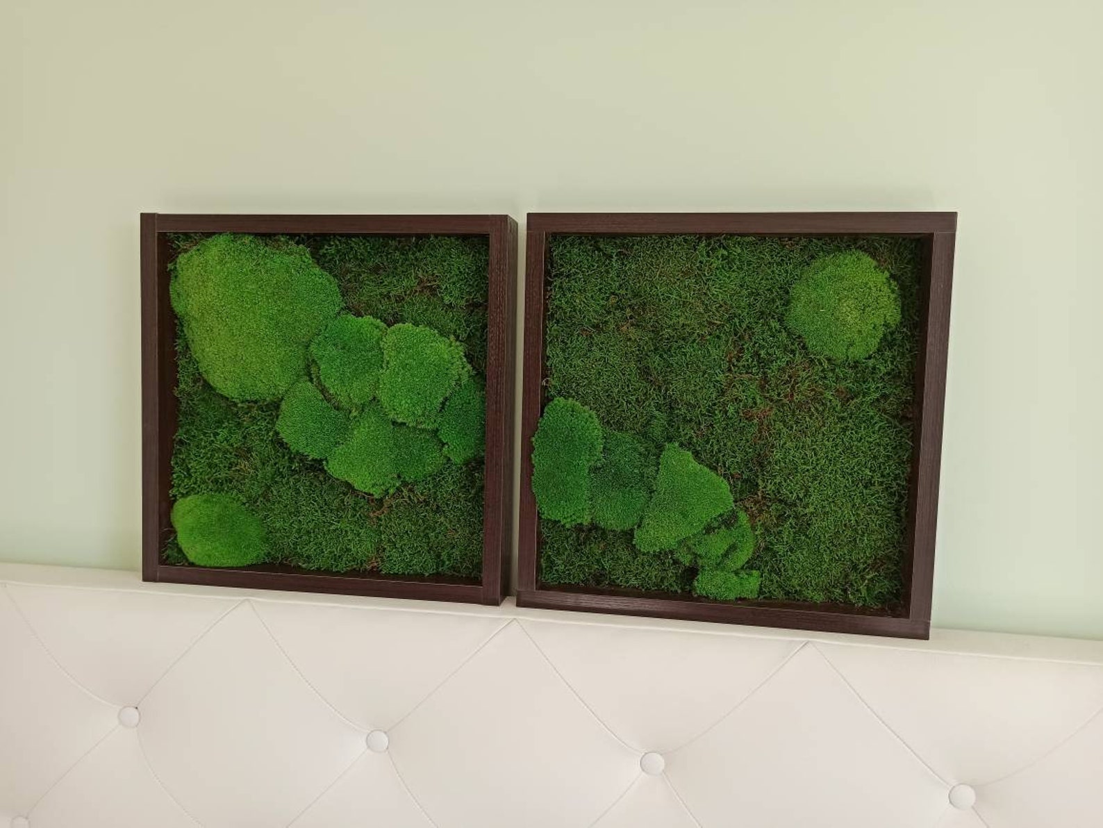Moss Wall Art Preserved Moss Living Wall Moss Frame Live - Etsy