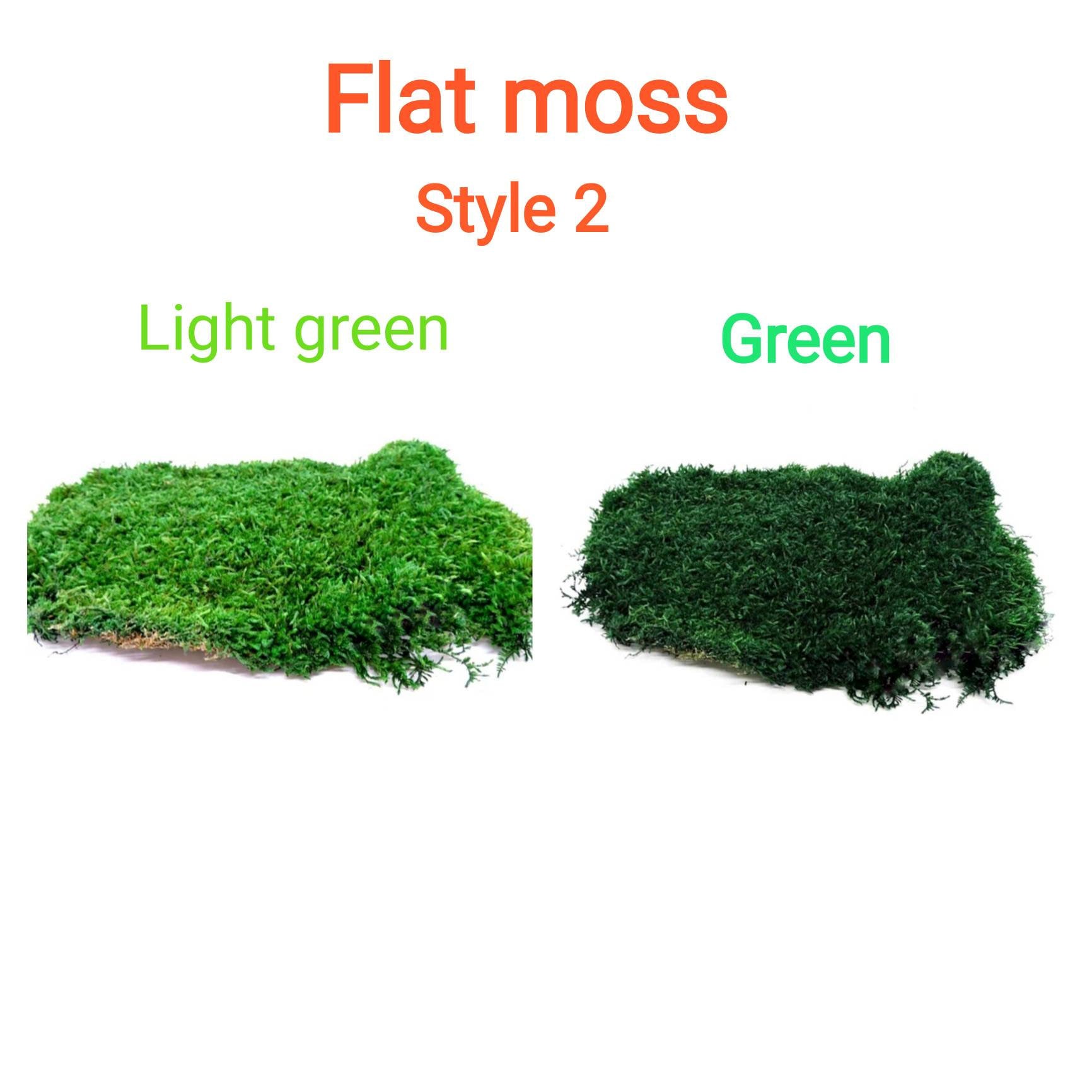 Moss company logo Moss wall art Real Moss custom logo sign | Etsy