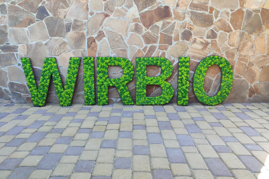 Moss Company Logo, Moss Wall Art, Real Moss Custom Logo Sign, Moss ...