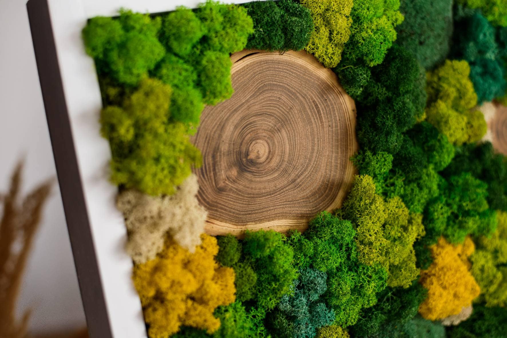 Moss art framed Moss wall art Preserved moss art Moss wall | Etsy