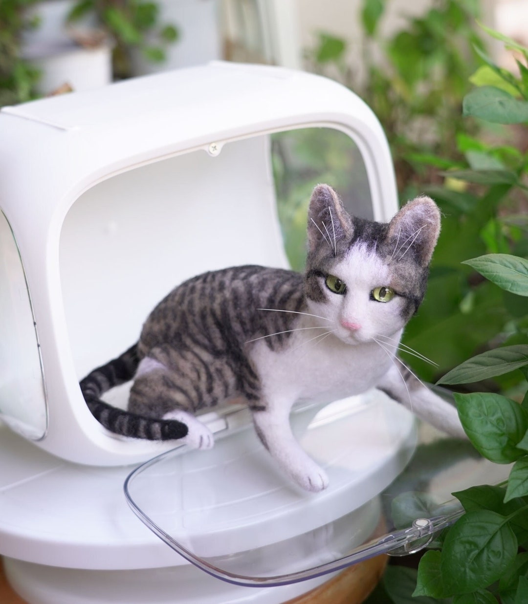 Realistic Pet Full Body Felt Made to Order and a Dustproof Display Box ...