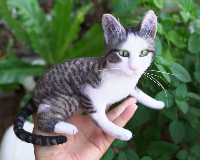 Realistic Pet Full Body Felt Made to Order and a Dustproof Display Box ...