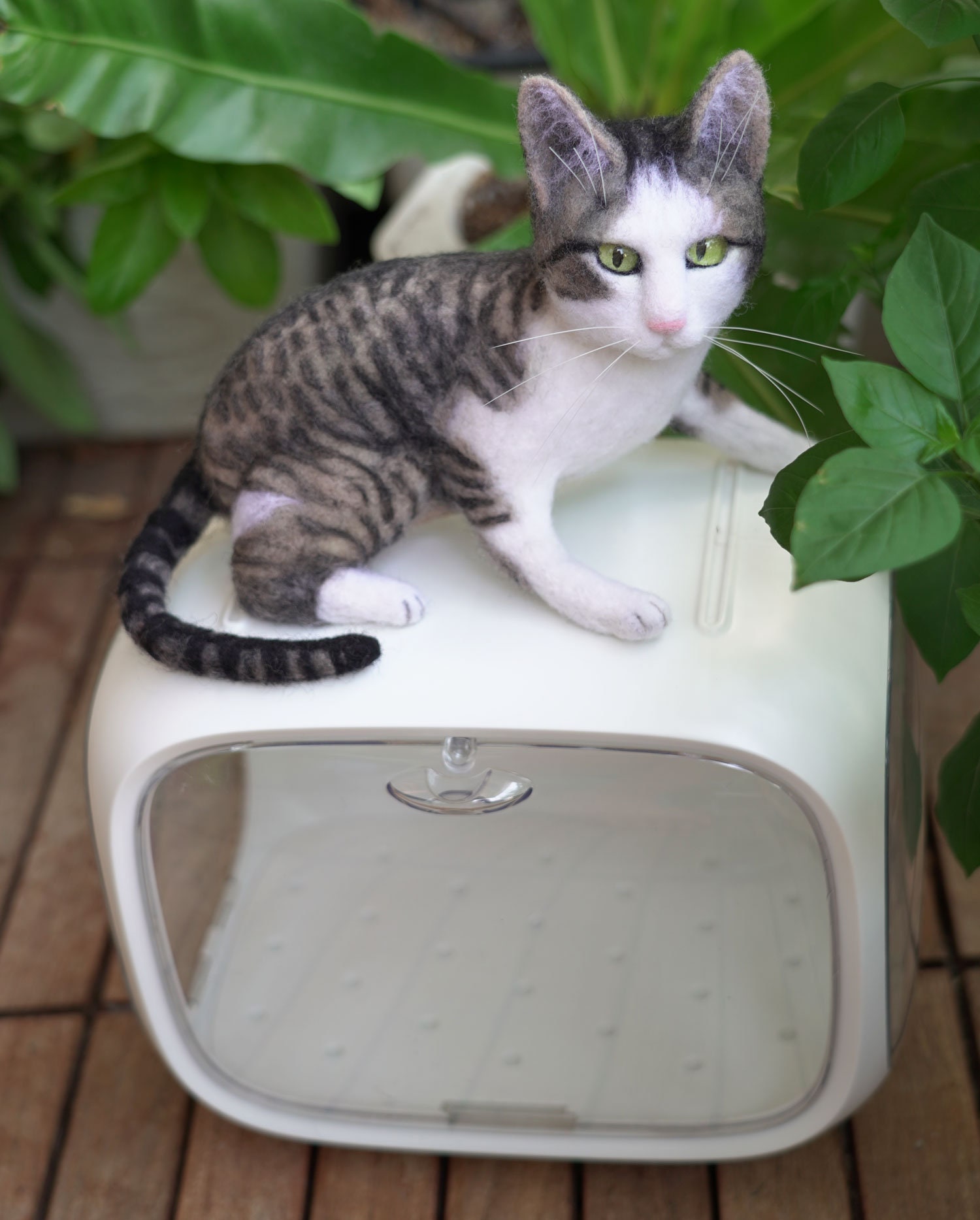 Realistic Pet Full Body Felt Made to Order and a Dustproof Display Box ...
