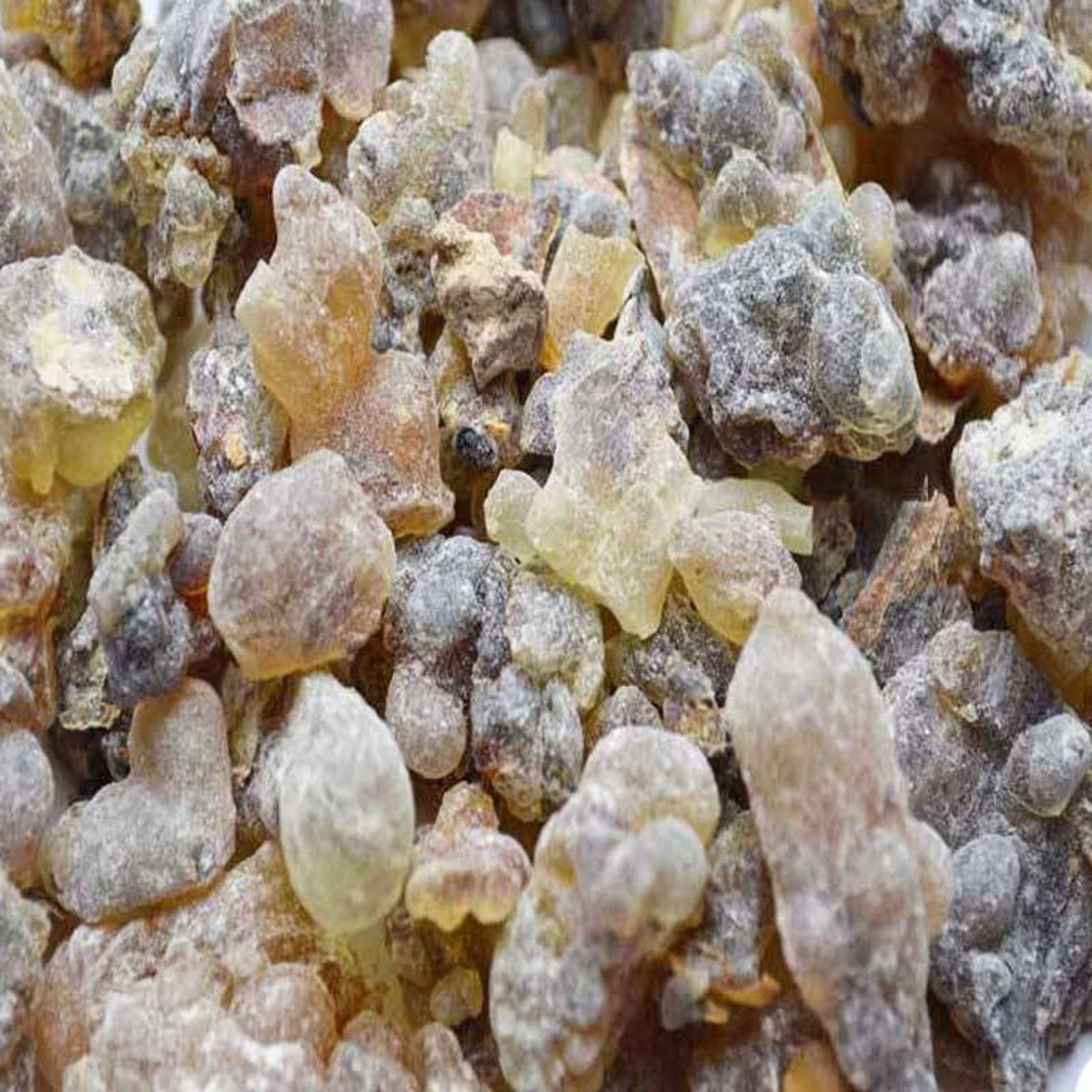 BLACK FRANKINCENSE, OMANI Frankincense, Oliban Oman Noir, Black ...