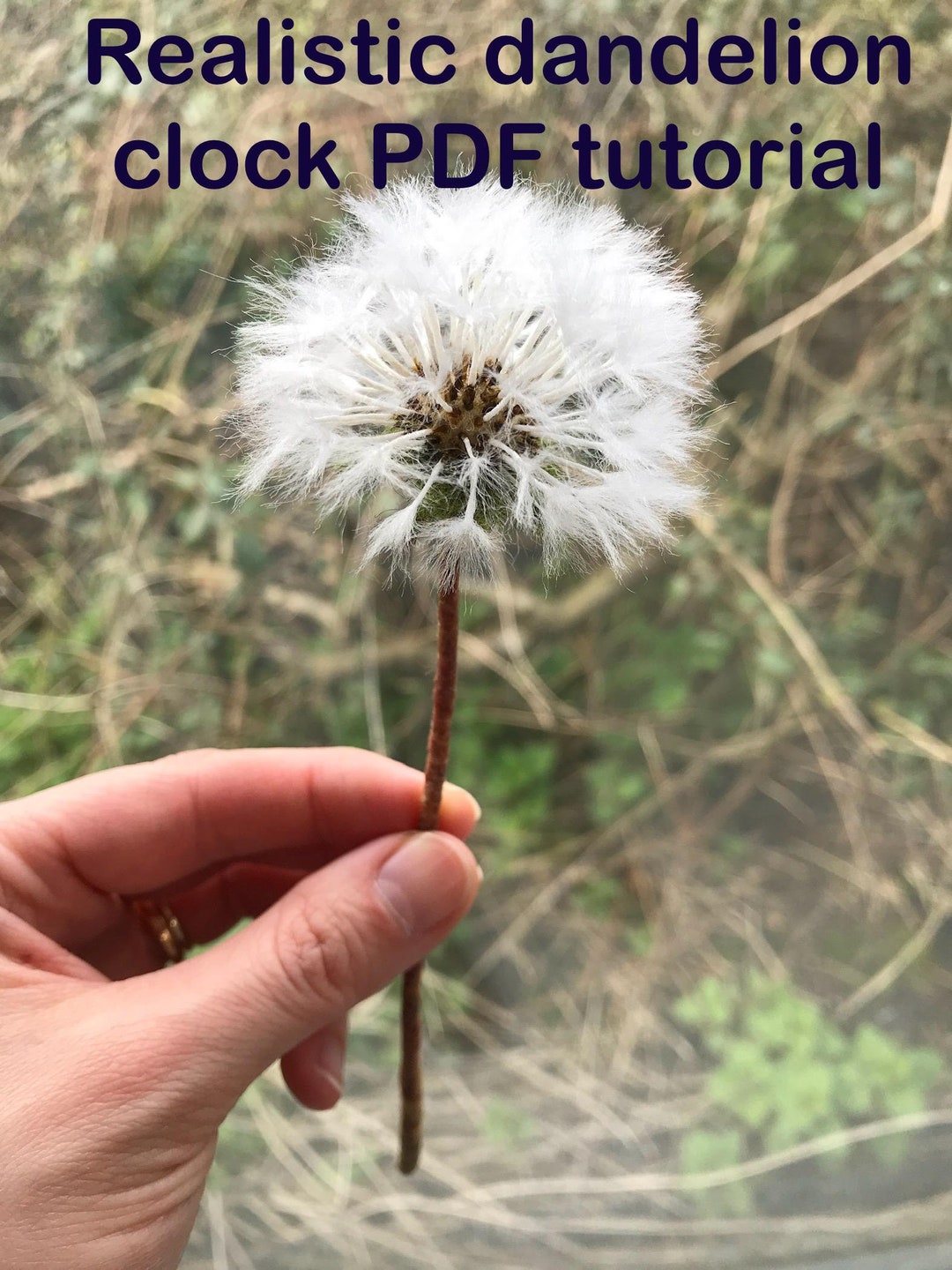 Realistic Dandelion Seed Clock Digital Download PDF Tutorial for ...