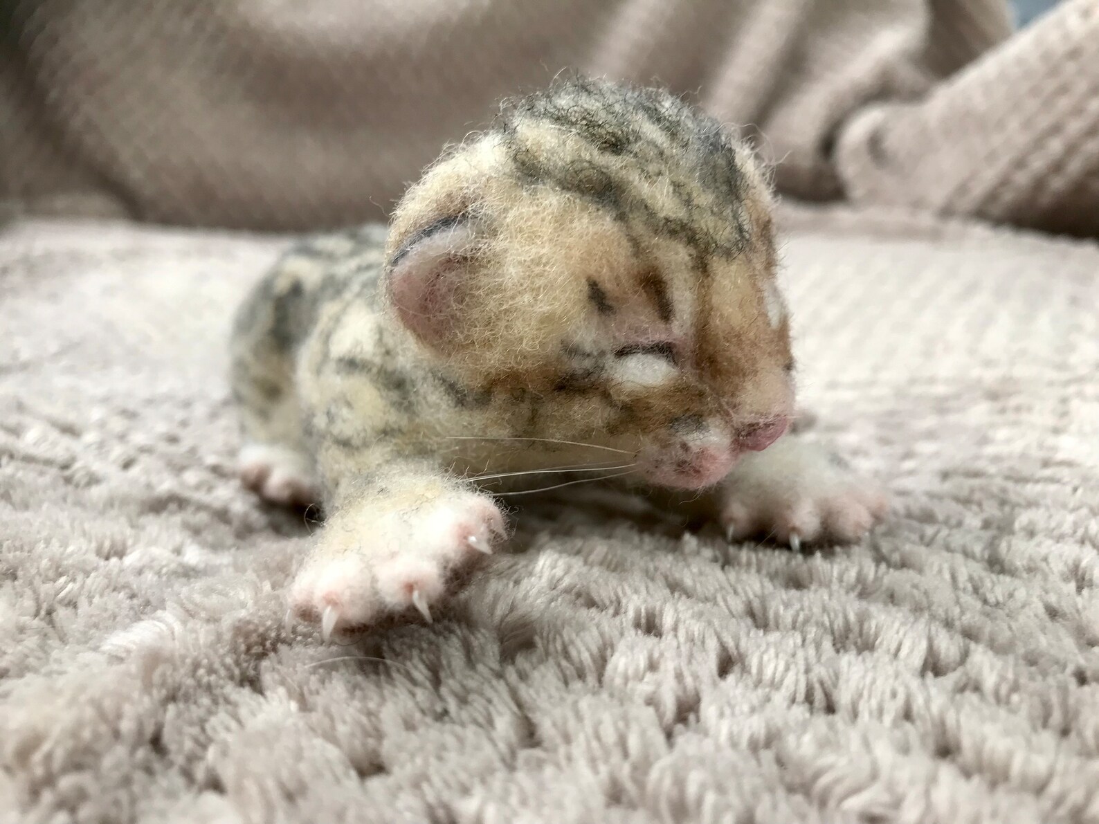 Needle Felting Tutorial: Realistic Bird Feet & Cat Claws (PDF Download ...