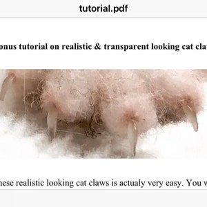 Realistic Bird Feet and Cats Claws Digital Download PDF Tutorial for ...