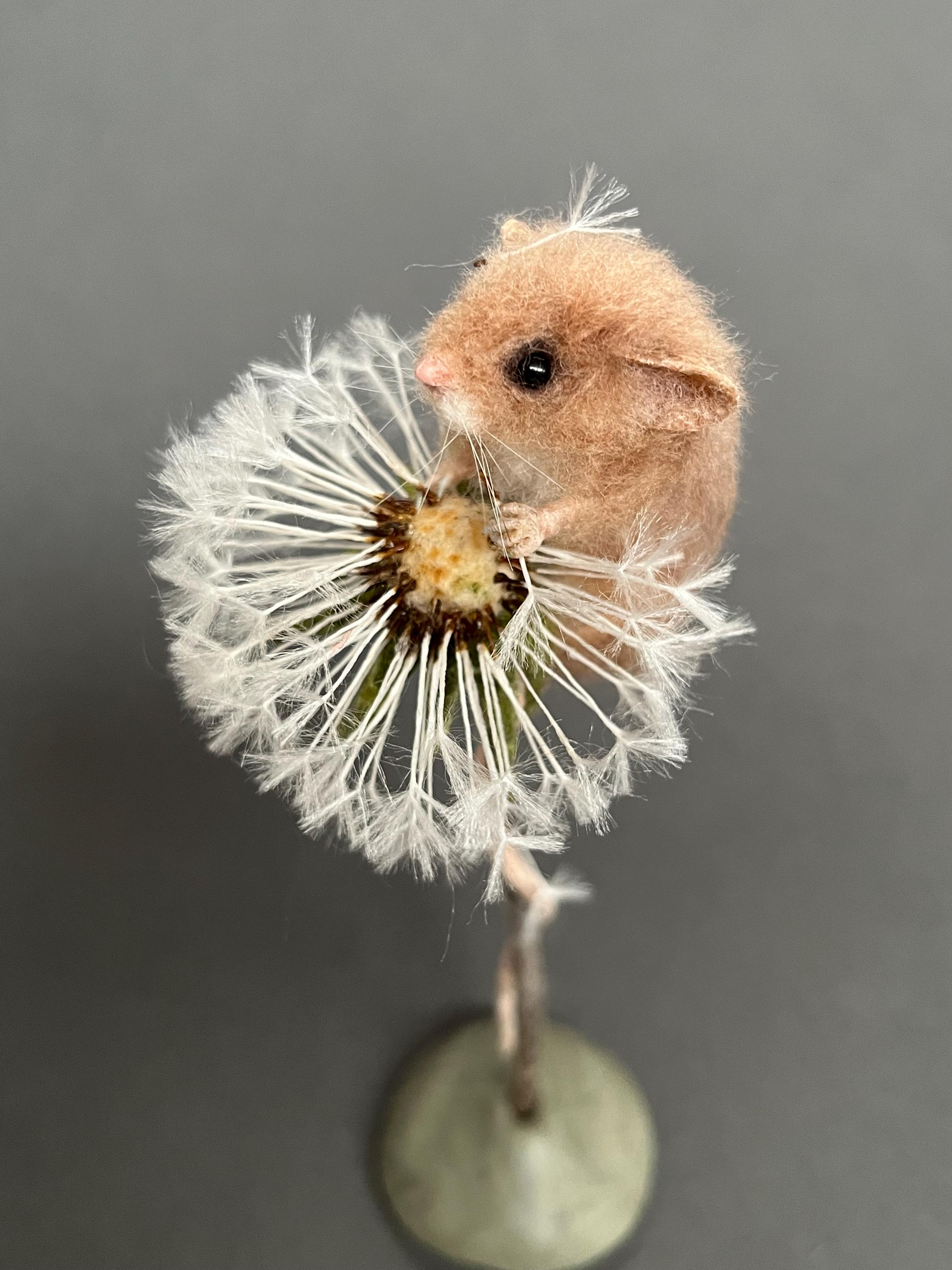 Realistic Dandelion Seed Clock Needle Felting Tutorial (PDF Download ...