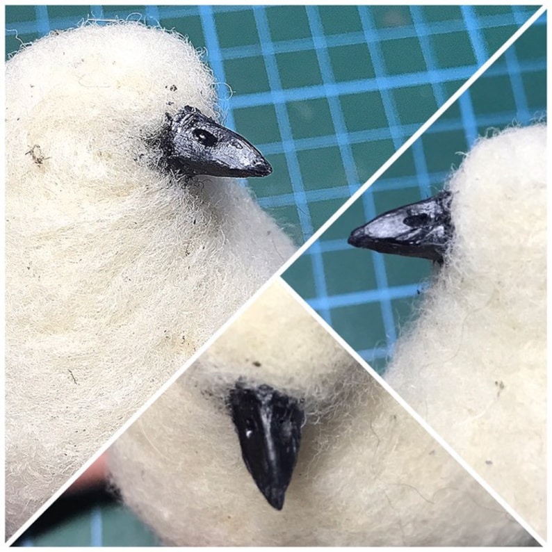 Realistic Bird Beaks in Wax and Sealant Digital Download PDF Tutorial ...