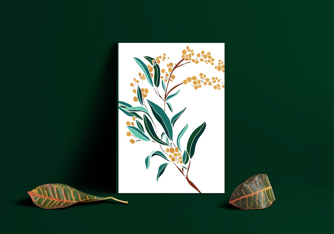 Australian Wattle Wall Art Decor A4 / A3 / A2 / A1 / A0 Print - Etsy Australia