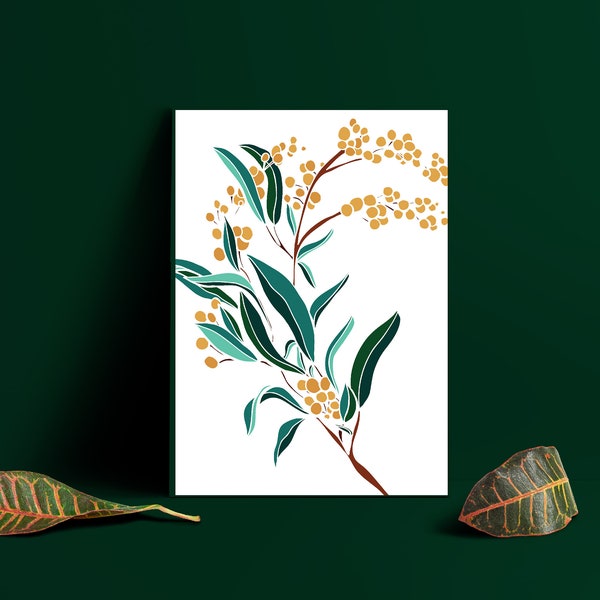 Wattle Drawing - Etsy Australia