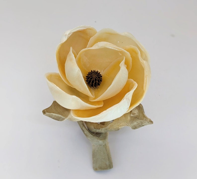 Buttercup Beauty! Sea Shell Flower Made With Buttercup Lucene Shells ...