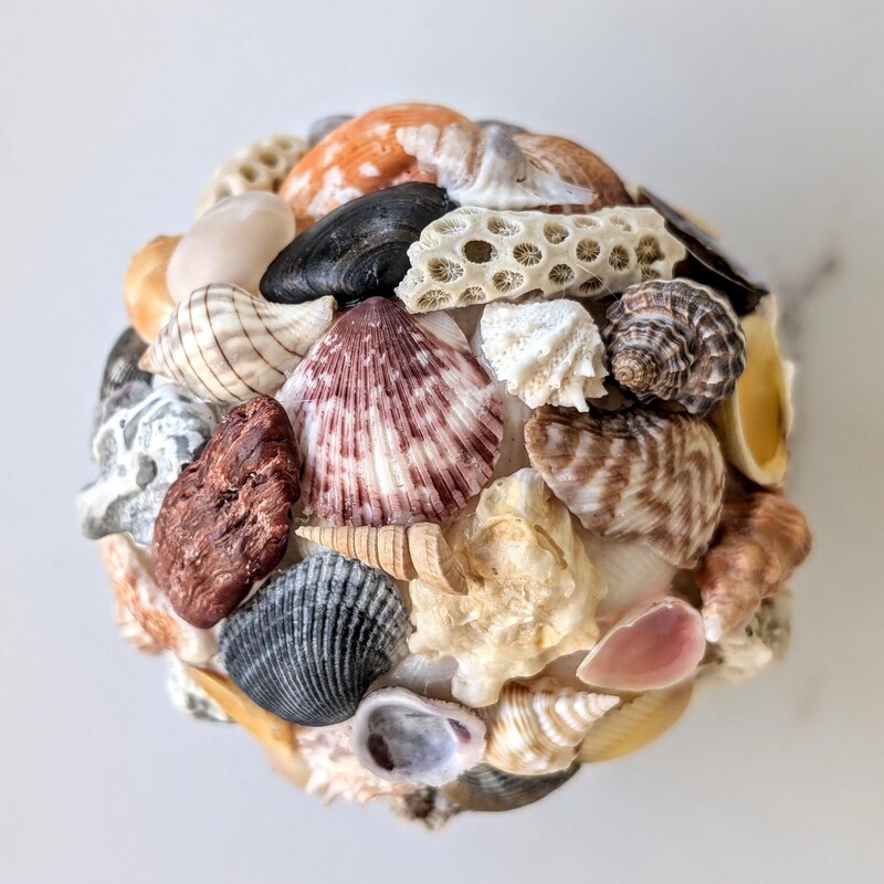 Seashell Balls - Etsy