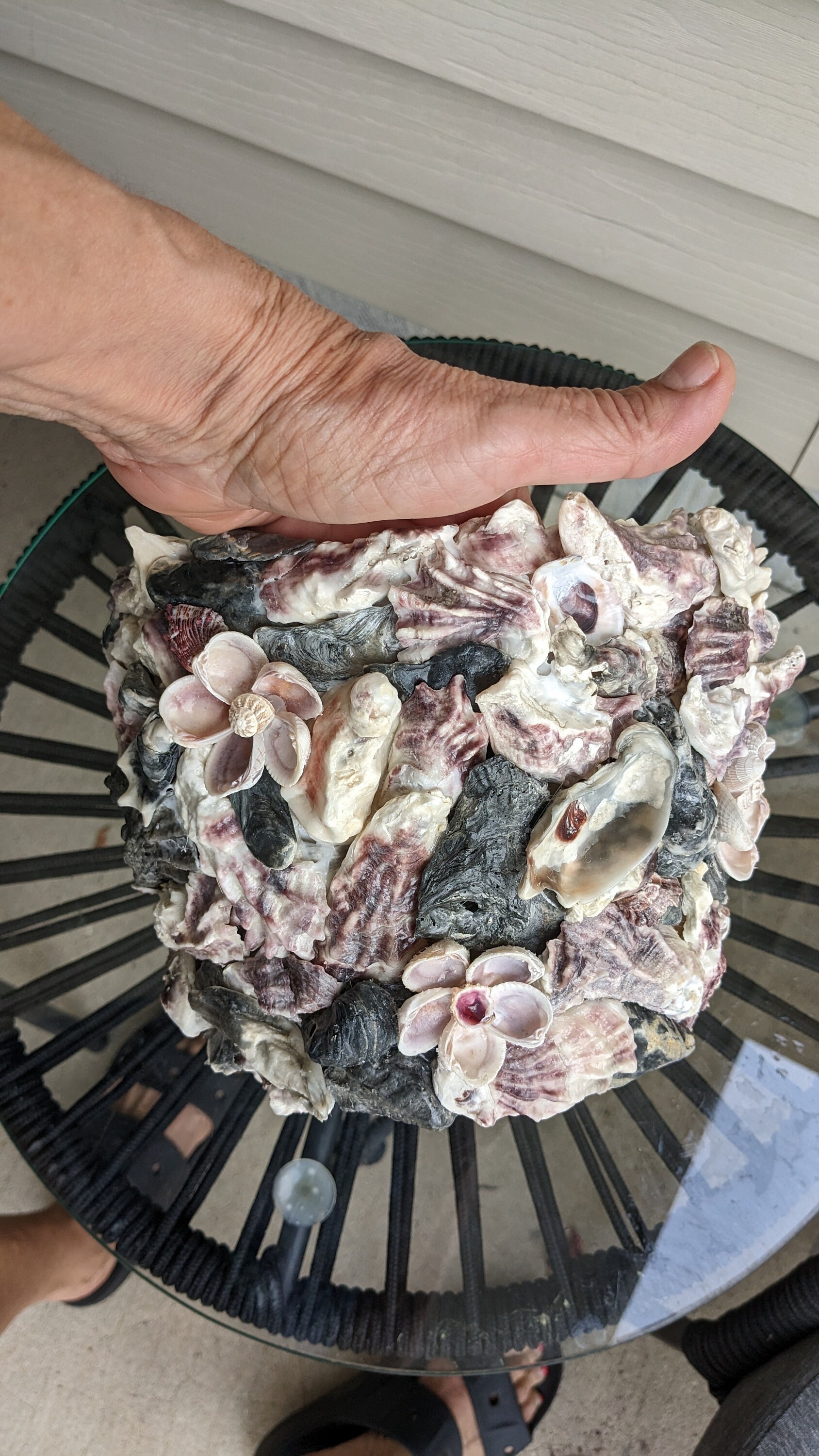 Oyster Encrusted Flower Pot - Etsy