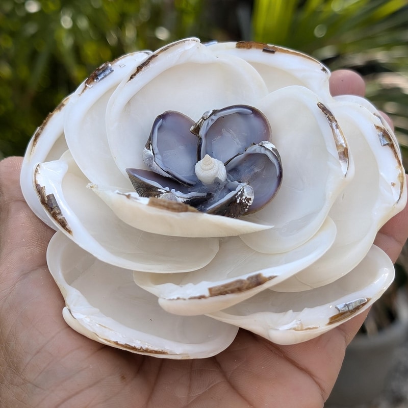 Sea Shell Flowers - Etsy