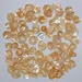 Jingle Shells From Florida. Large, Sorted Into Colors. - Etsy