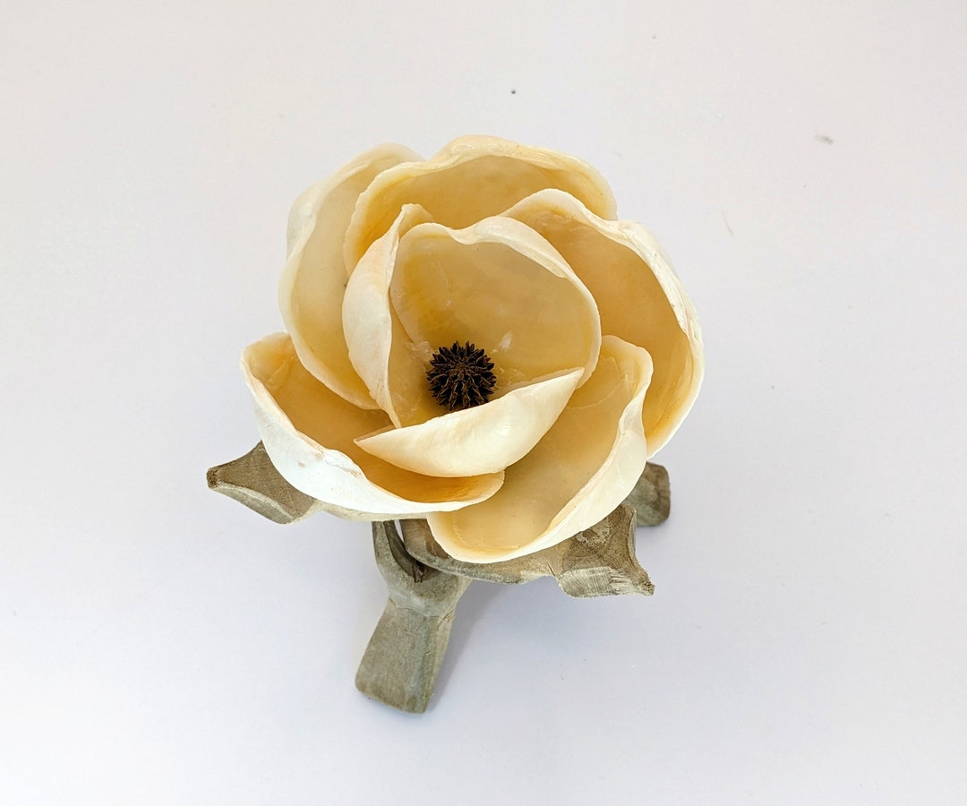 Buttercup Beauty! Sea Shell Flower Made With Buttercup Lucene Shells ...
