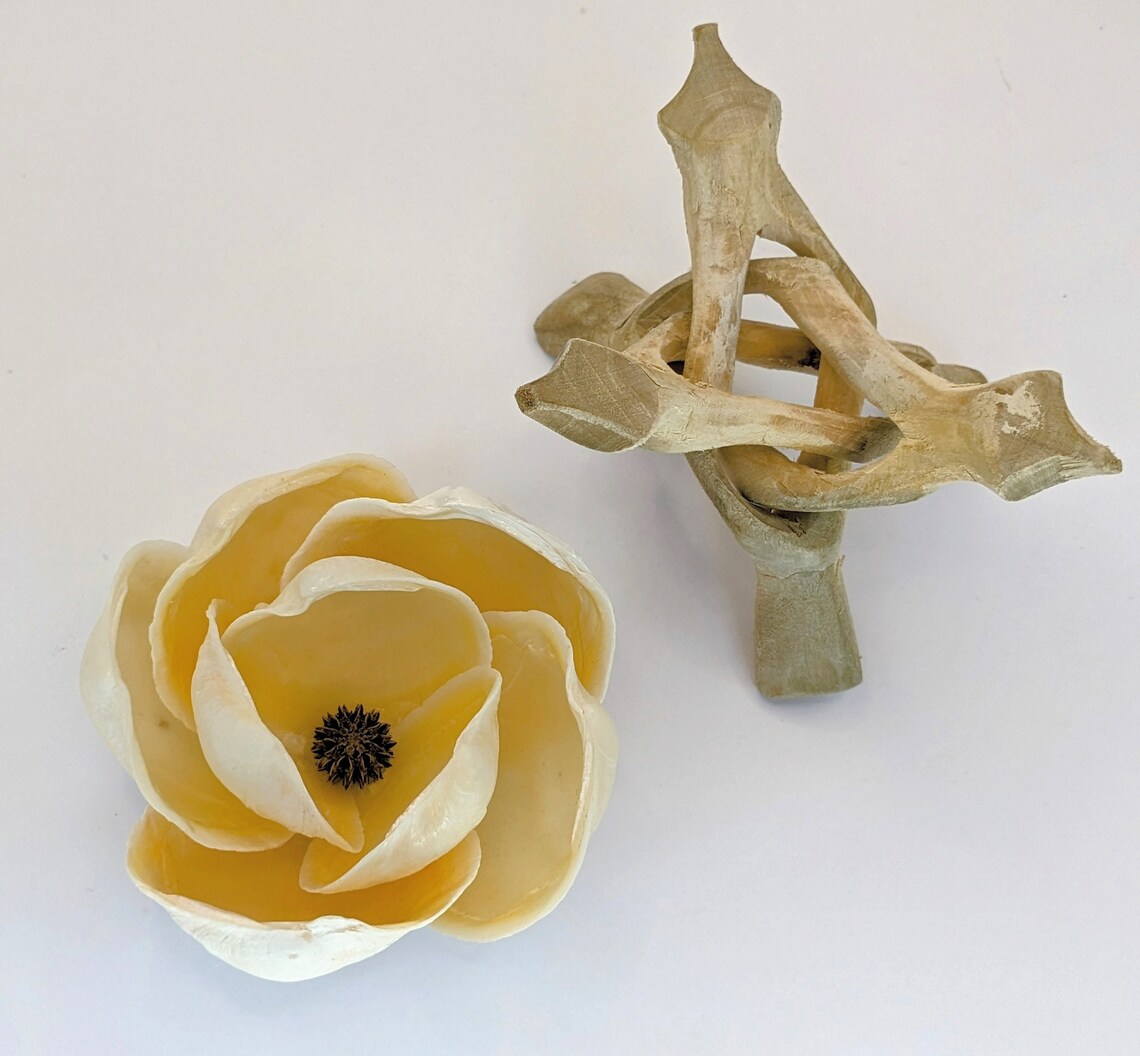 Buttercup Beauty! Sea Shell Flower Made With Buttercup Lucene Shells ...