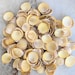 Yellow Prickly Cockle Shells From Florida. 30 Shells. - Etsy